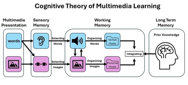 Cognitive Theory of Multimedia Learning – Multimedia IDEAs
